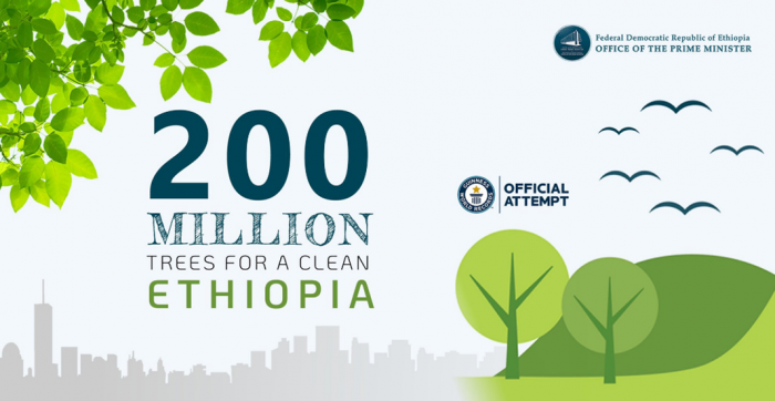 300.000 trees planted by Sher Ethiopia - Sher Ethiopia