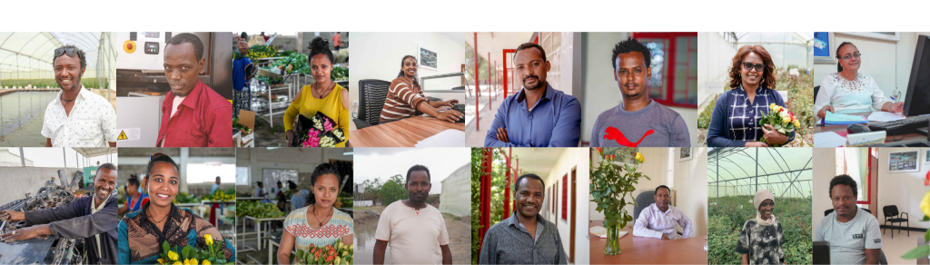 Meet our people | working at Sher Ethiopia - Sher Ethiopia Ethiopia