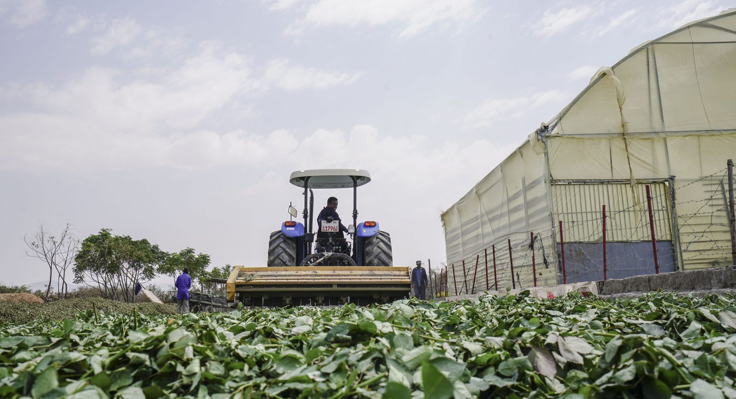 Composting - Sher Ethiopia