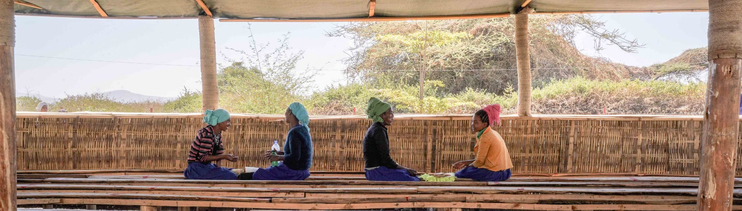 Employment conditions - Sher Ethiopia