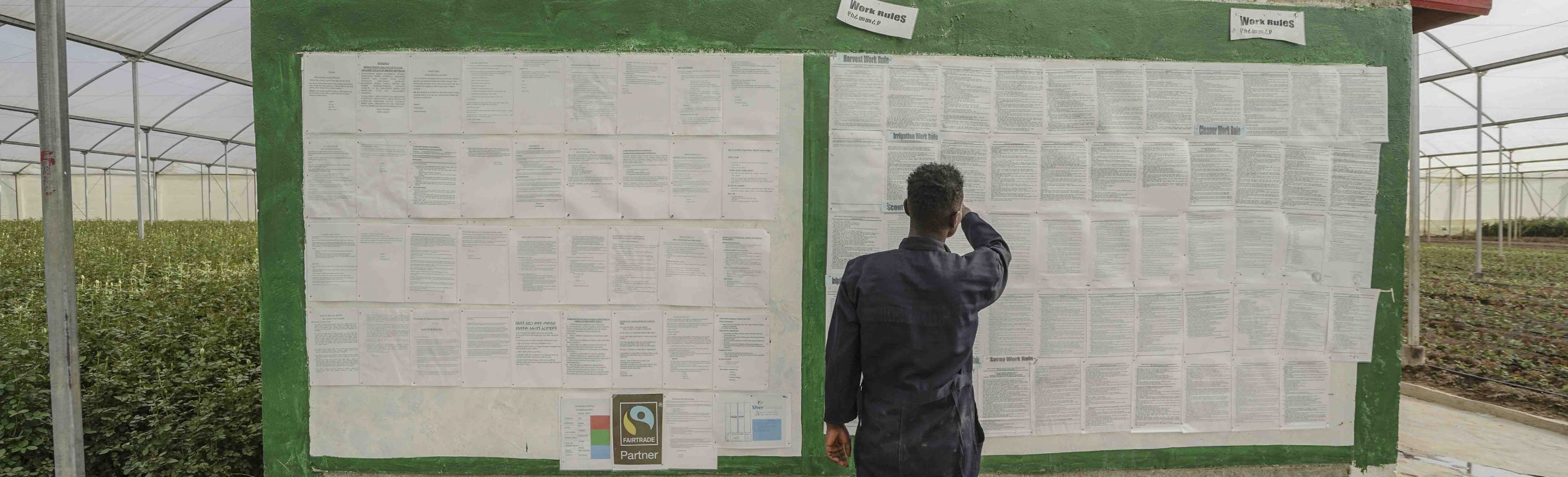 Waraqaalee ragaa - Sheer Itiyoophiyaa