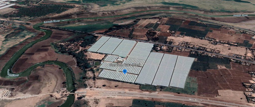 Location rose farm Sher Koka (blen) - Sher Ethiopia Ethiopia