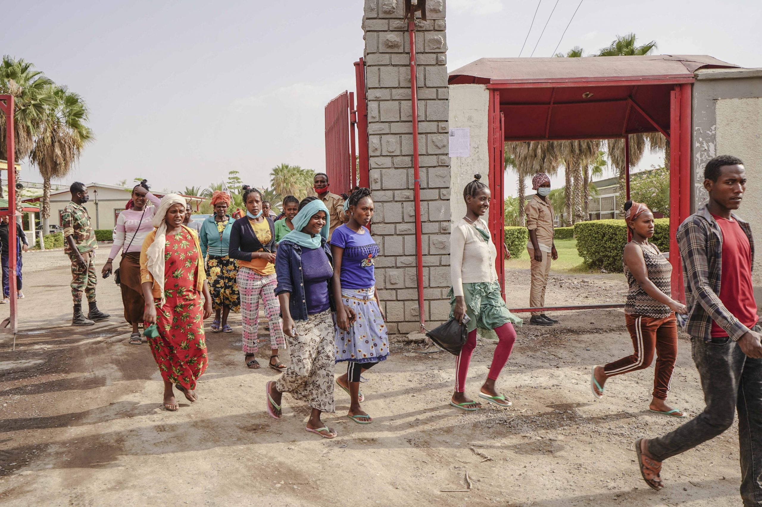 Hojjettoota - Sheer Itiyoophiyaa