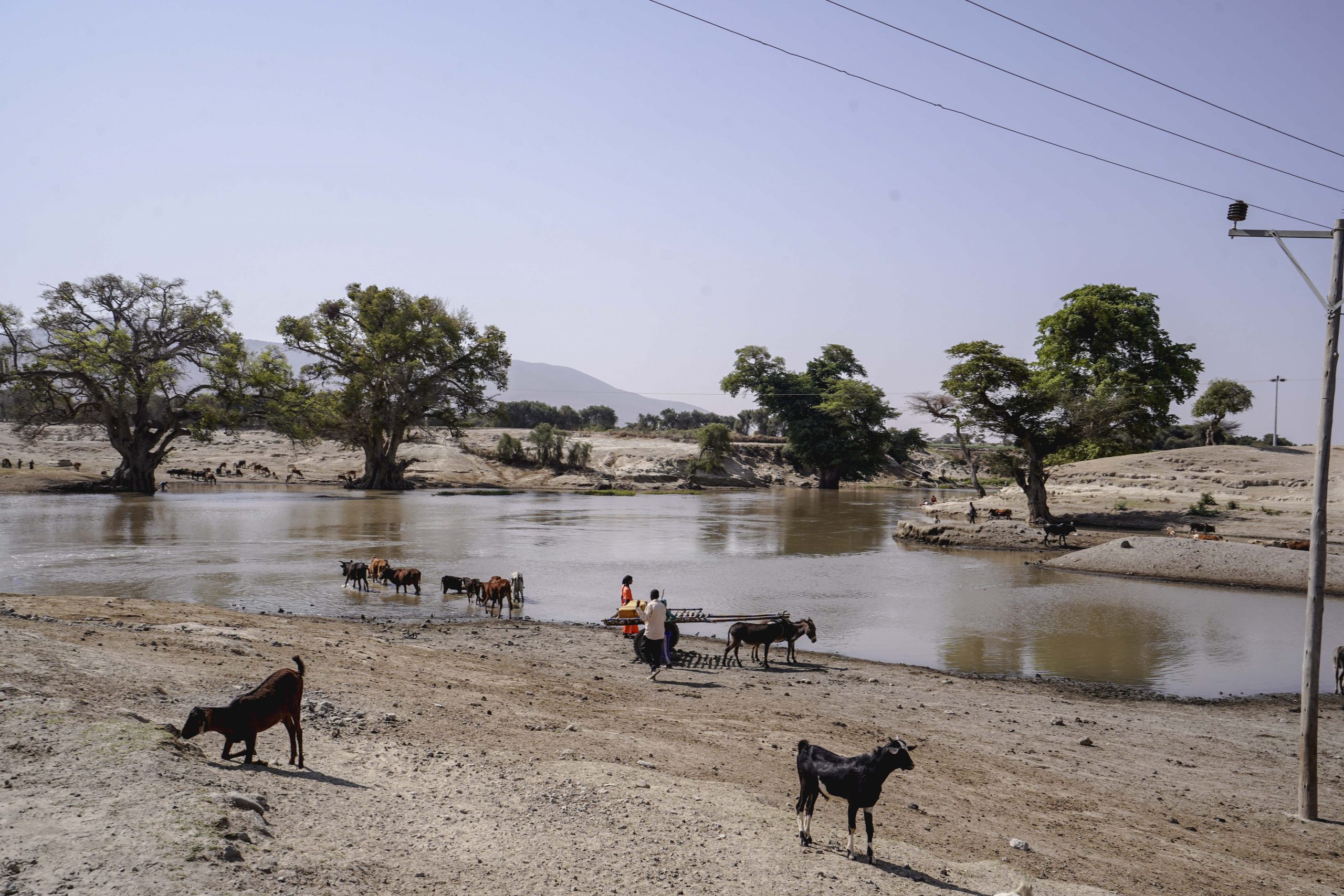 UN Sustainable Development Goals - Sher Ethiopia