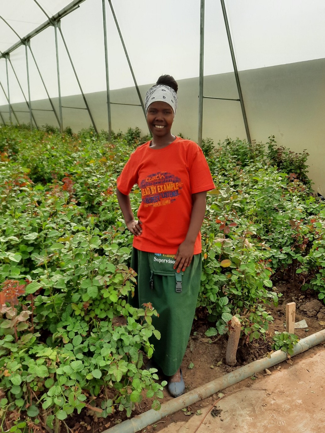 Sher trainees rewarded - Sher Ethiopia