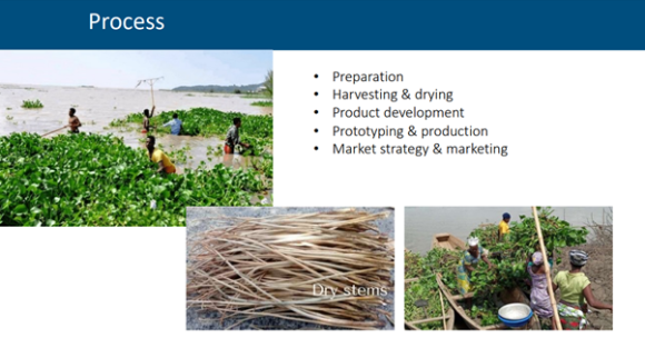 Ziway / Batu water hyacinth pilot project - Sher Ethiopia