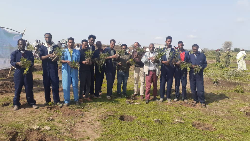Reforestation: planting 57.000 trees on Tree Planting Day - Sher Ethiopia