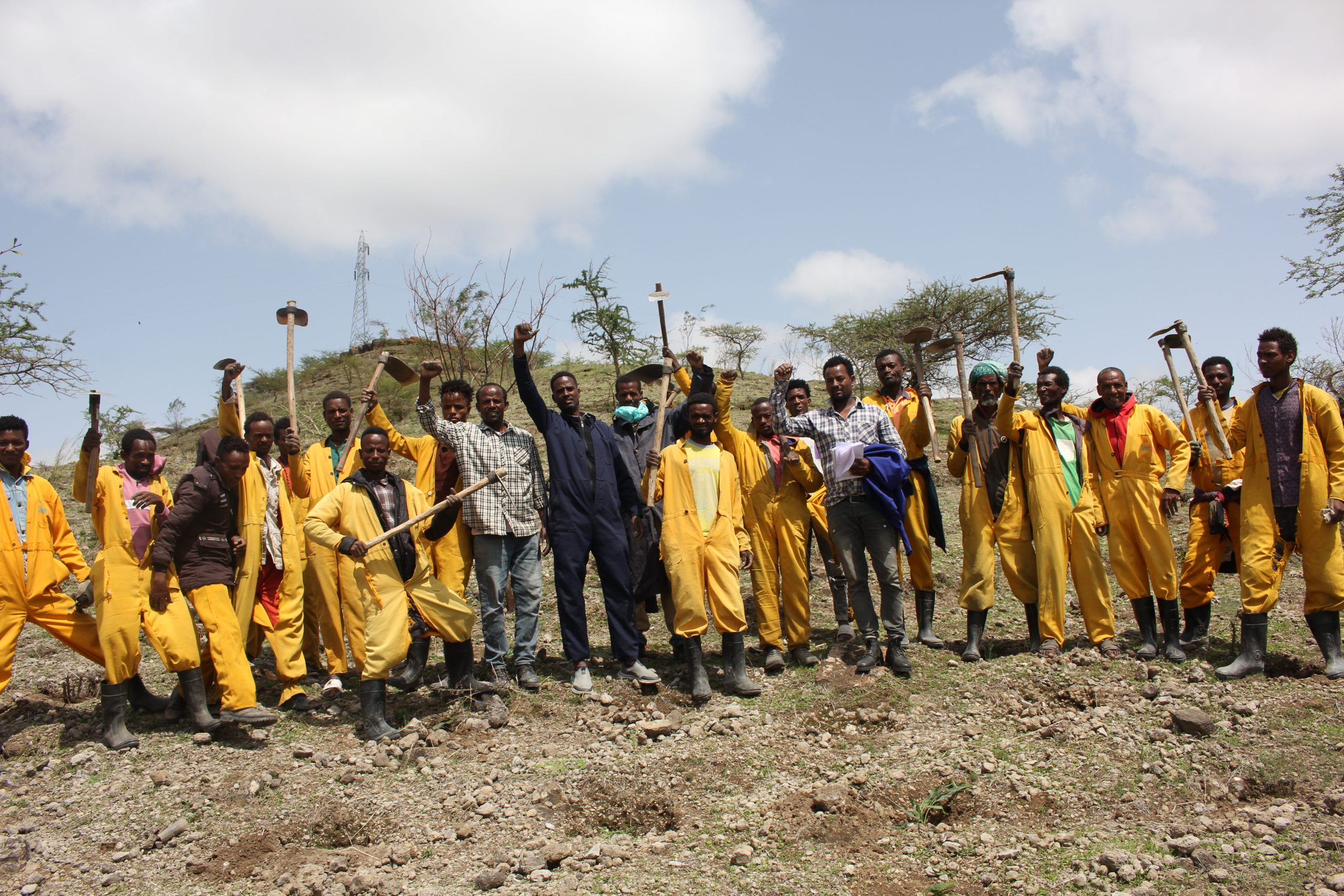 Reforestation: planting 57.000 trees on Tree Planting Day - Sher Ethiopia
