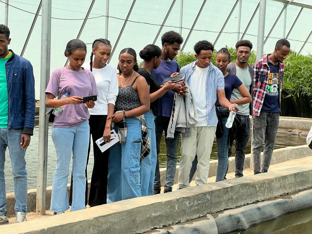 Daawwannaa Baratoota Yunivasiitii Hawaasaa - Sheer Itiyoophiyaa